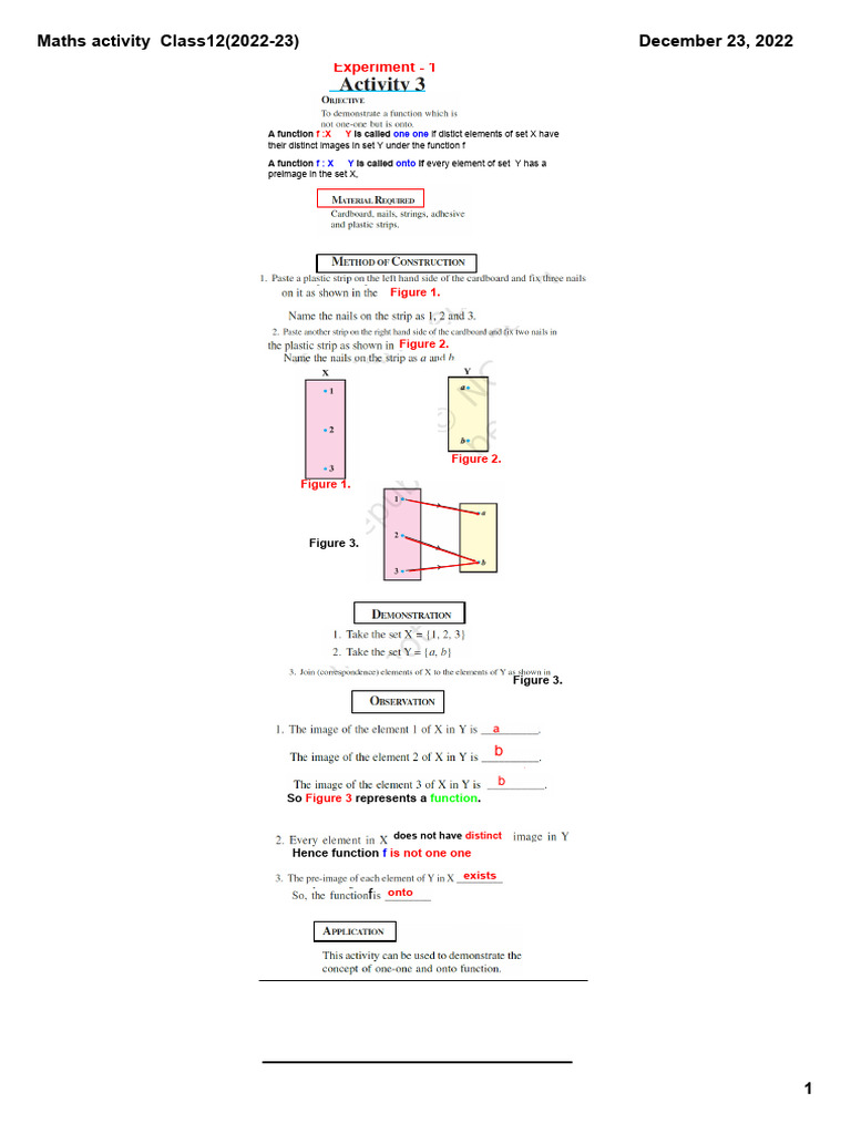 Maths Activity Class12 (2024-25) | PDF | Function (Mathematics) | Calculus