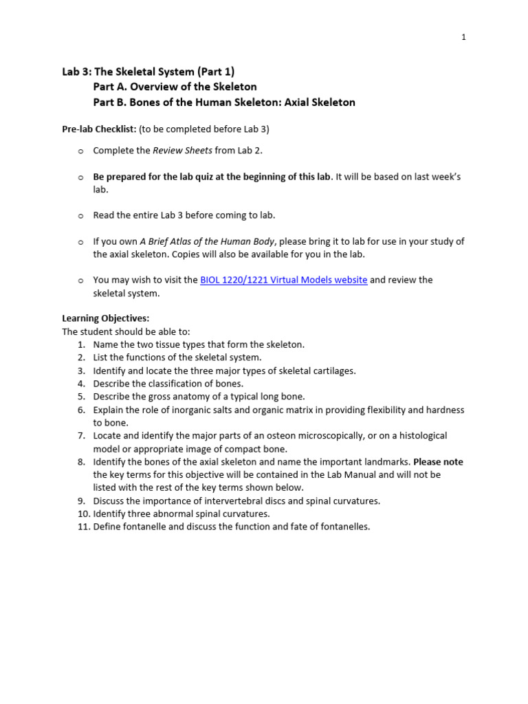 Axial Skeleton Overview & Anatomy | PDF | Vertebra | Vertebral Column