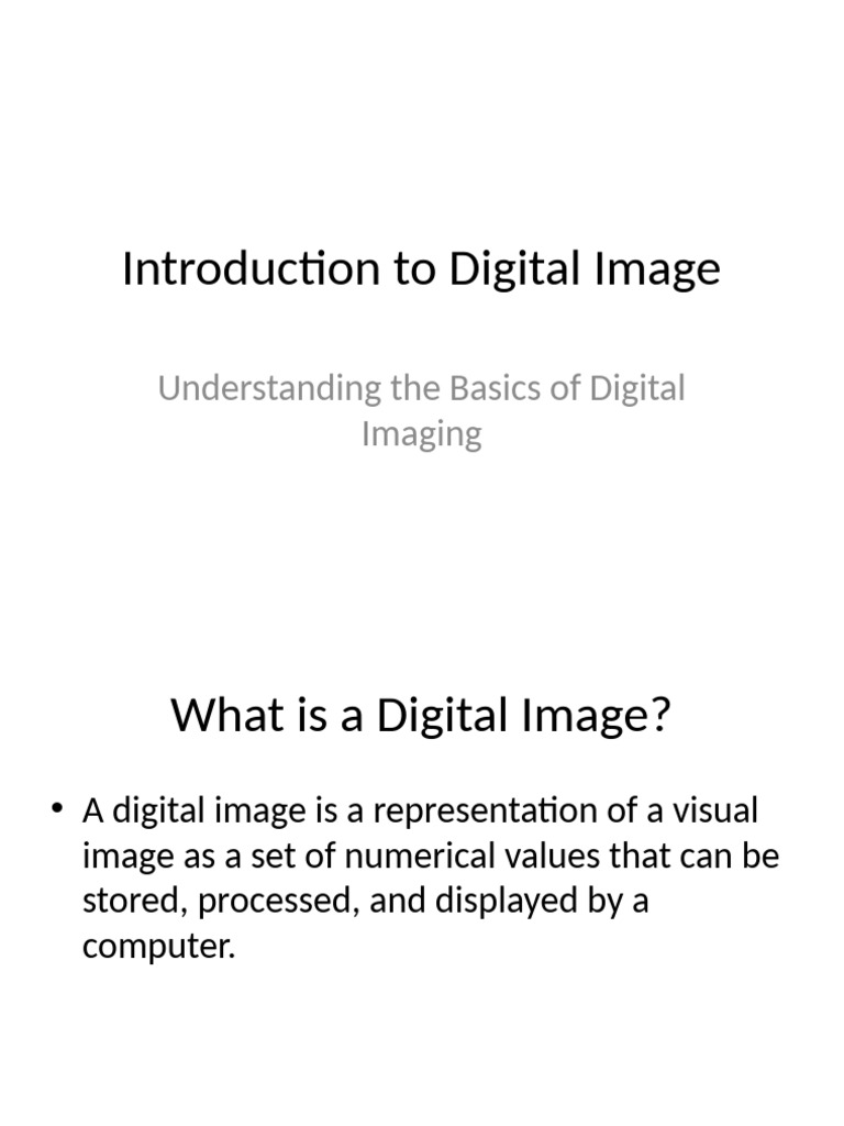 Introduction To Digital Image | PDF