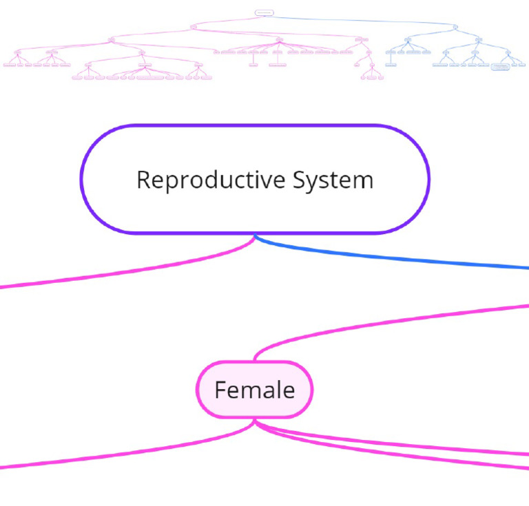 Reproductive Syst Mindmap | PDF