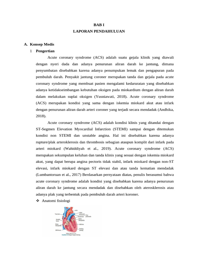 LP ACS STEMI R.ICVCU ALSANTI,S.Kep | PDF