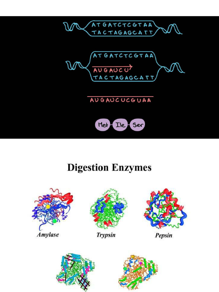 Image To PDF 20241129 15.43.43 | PDF