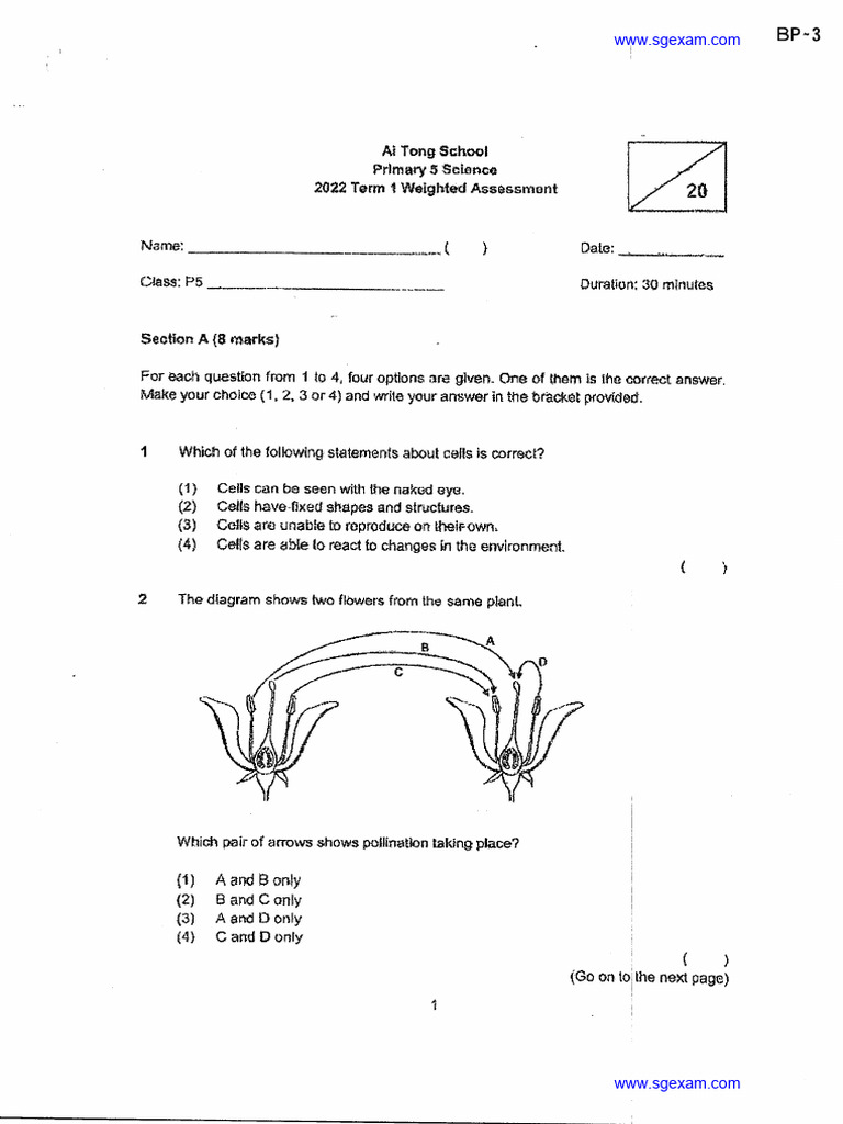 2022-P5-Science-Weighted Assessment 1-Ai Tong | PDF
