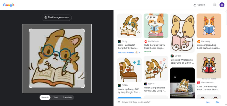 Cute Corgi Reading Book Illustrations | PDF