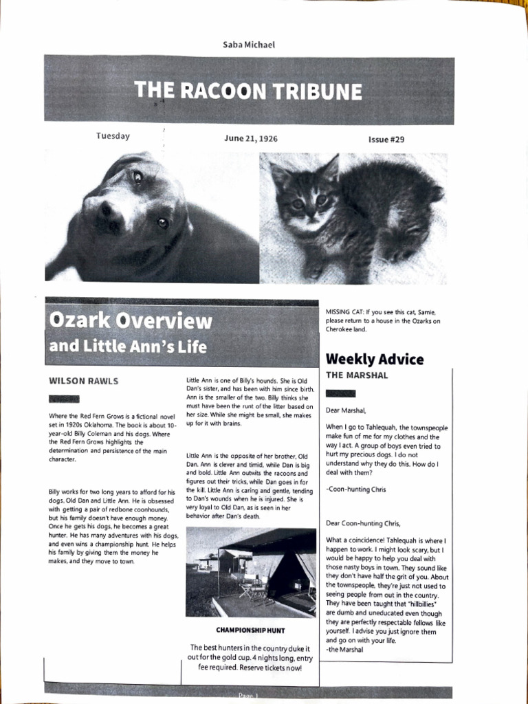 Newspaper Project Examples | PDF