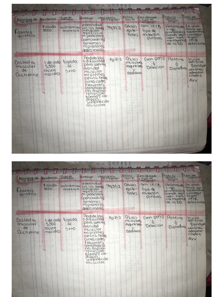 Tapia Castillo Alisson 2 | PDF