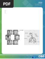 Easy Onset Voice Therapy Exercises | PDF | Human Voice | Human Throat