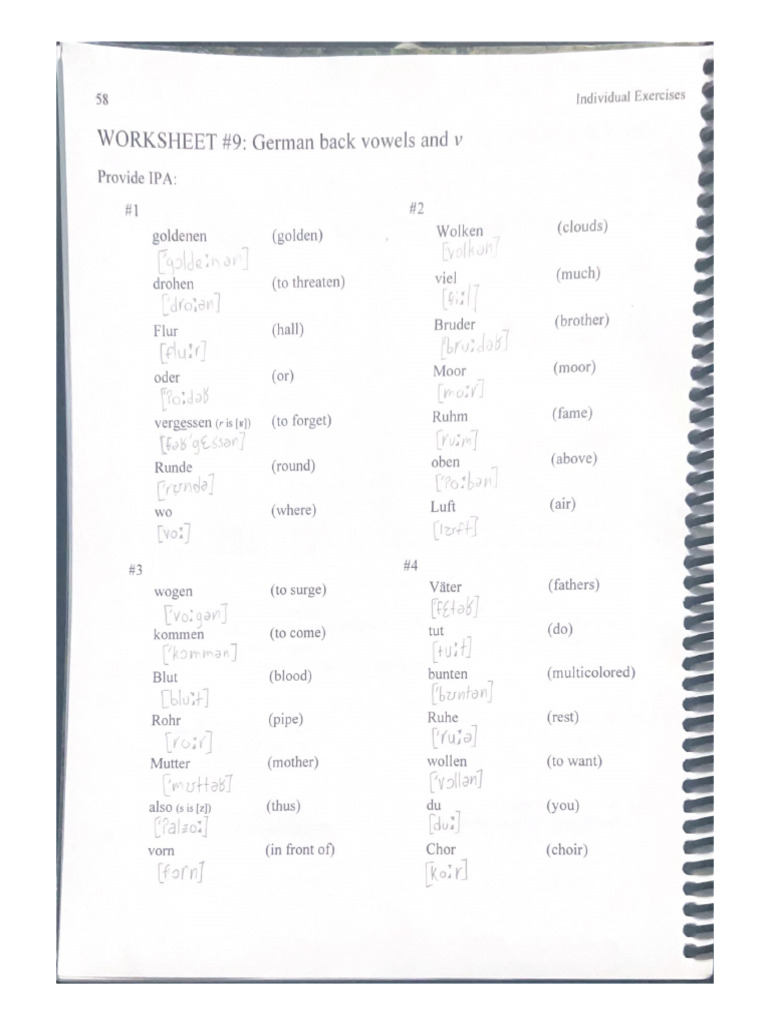 WORKSHEET #9 German Back Vowels and V | PDF
