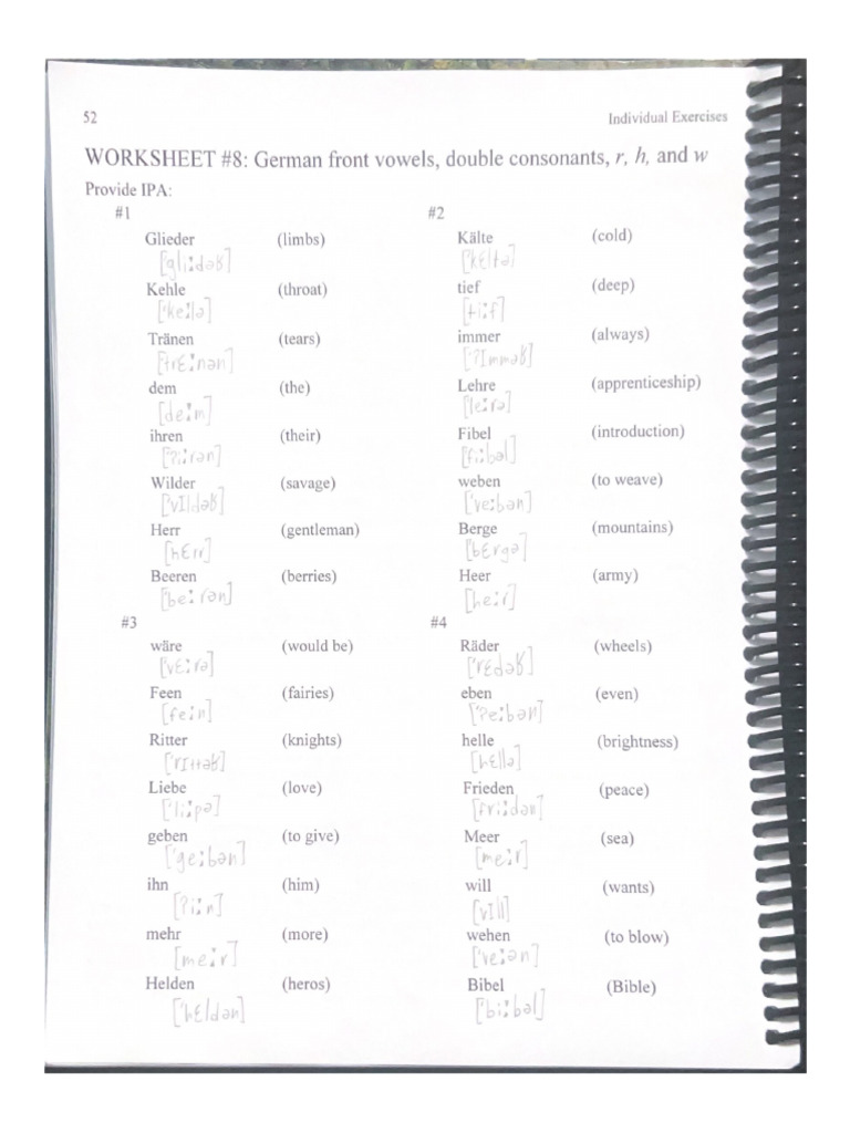 German Worksheet 8 | PDF