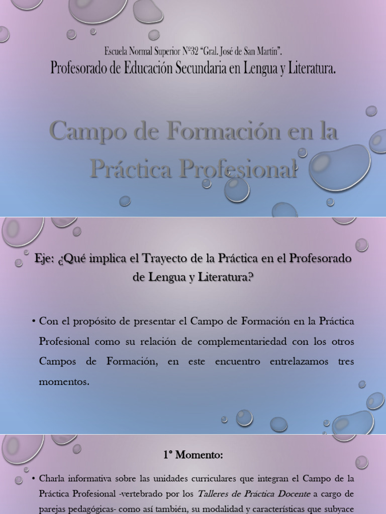 Práctica Profesional en Lengua y Literatura | PDF | Maestros | Enseñando