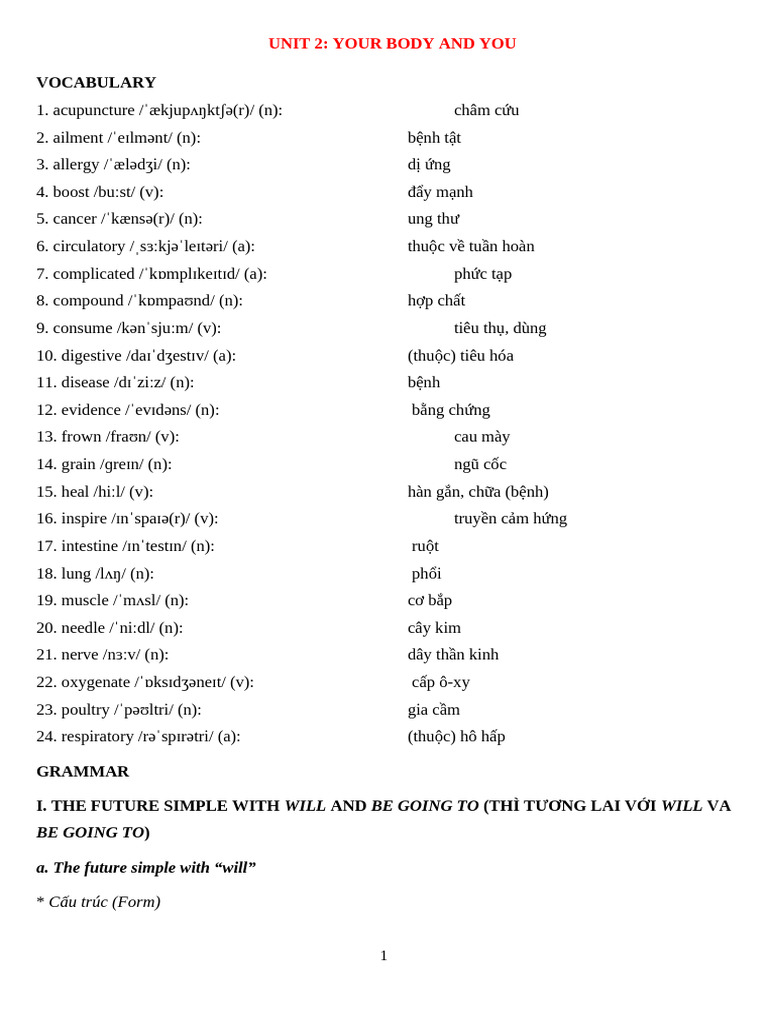 Unit 2 VOCABULARY + GRAMMAR + PRACTICE TEST 2 | PDF