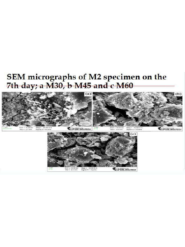 Comparison of SEM Microscope Test Results For Concrete | PDF