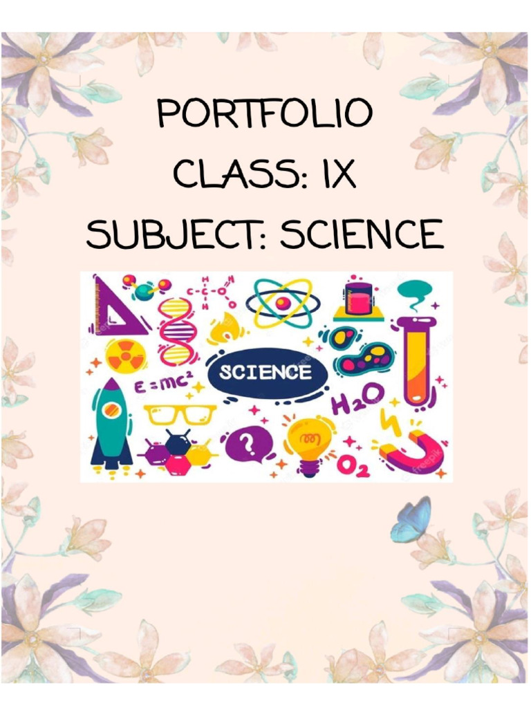 Class-IX Portfolio Assignment | PDF