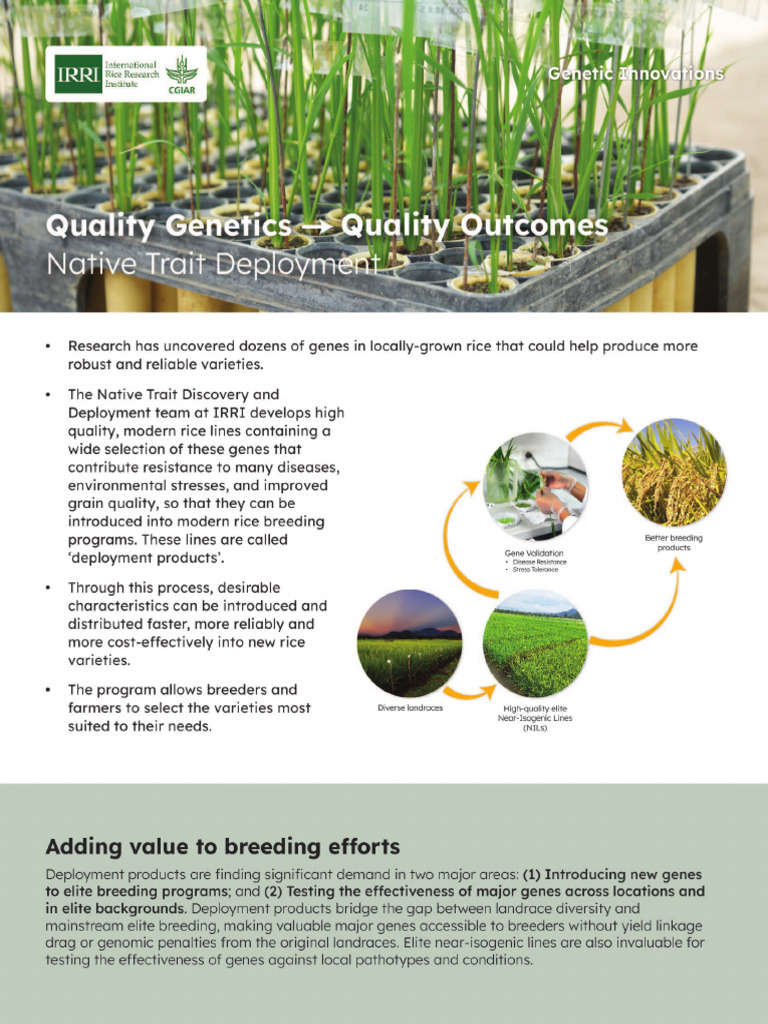 Native Trait Deployment Flyer - NAFTE CDO | PDF