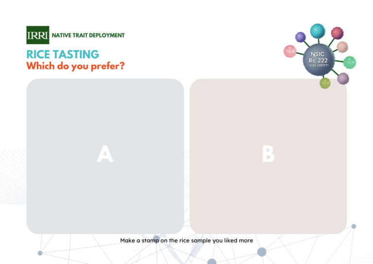 Native Trait Deployment rice tasting A3 | PDF