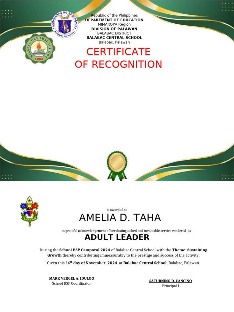 Cert of Recog For ADULT LEADER | PDF