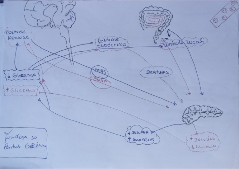 Image to PDF 20250102 02.57.49 | PDF