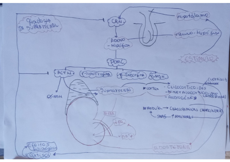 Image To PDF 20250102 02.55.00 | PDF