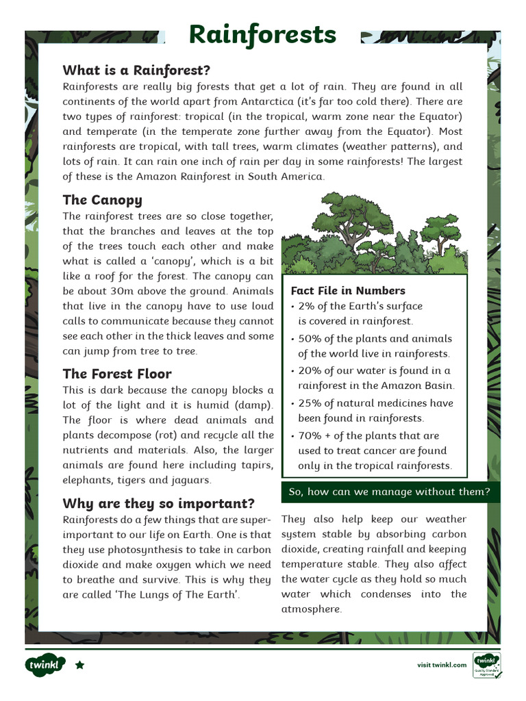 Rainforest Reading Comprehension | PDF | Rainforest | Tropics