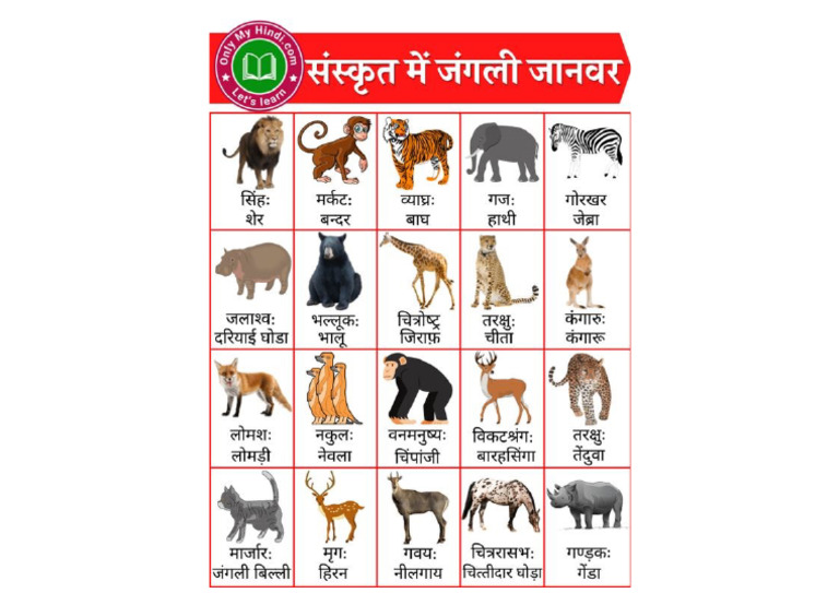 Names of animals in Sanskrit | PDF