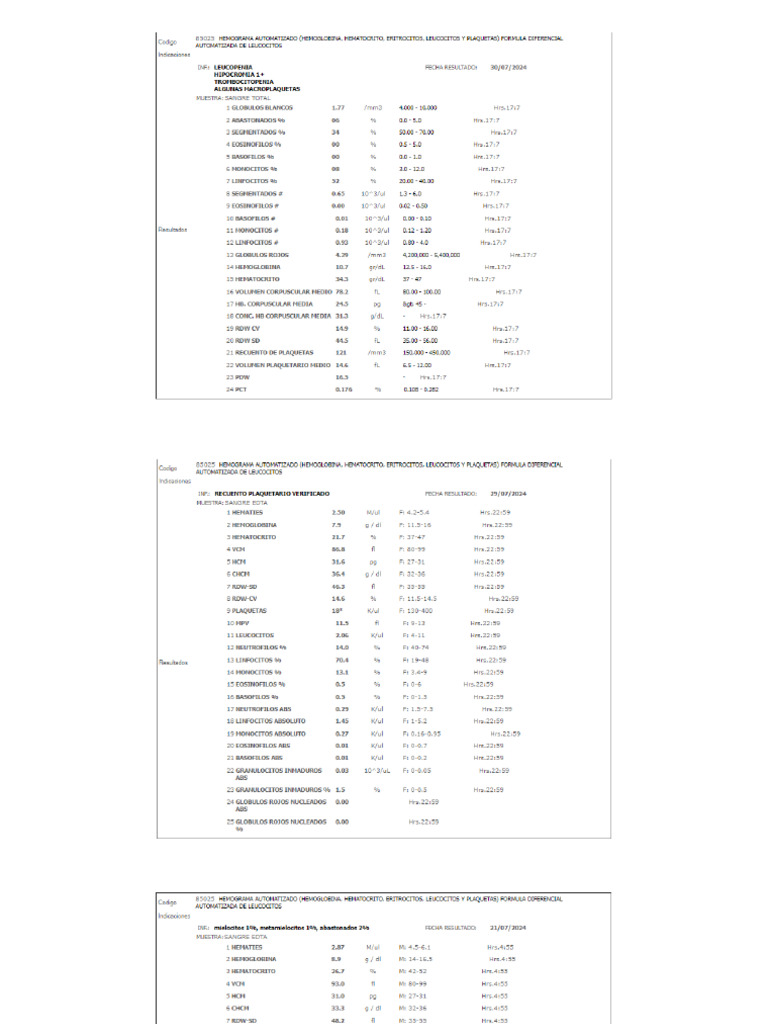 Expo | PDF
