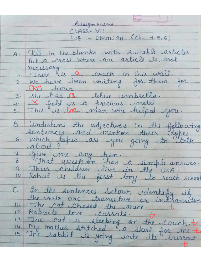 Assignment For English Class 7 | PDF