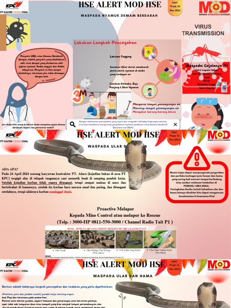 SA_Waspada DBD_Waspada Bahaya Ular_Peringatan Mudik | PDF