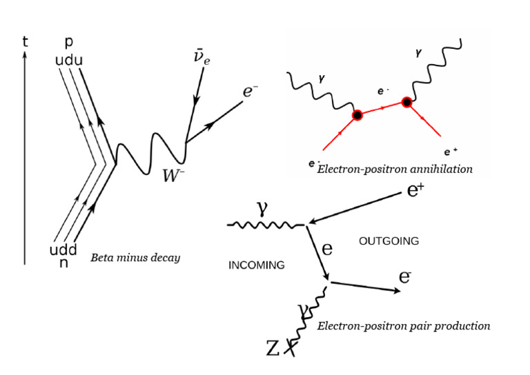 FEYNMAN DIAGRAM POSTER | PDF