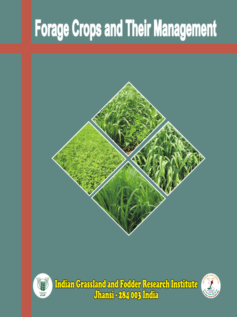 Forage Crop Management Practices | PDF | Sowing | Oat