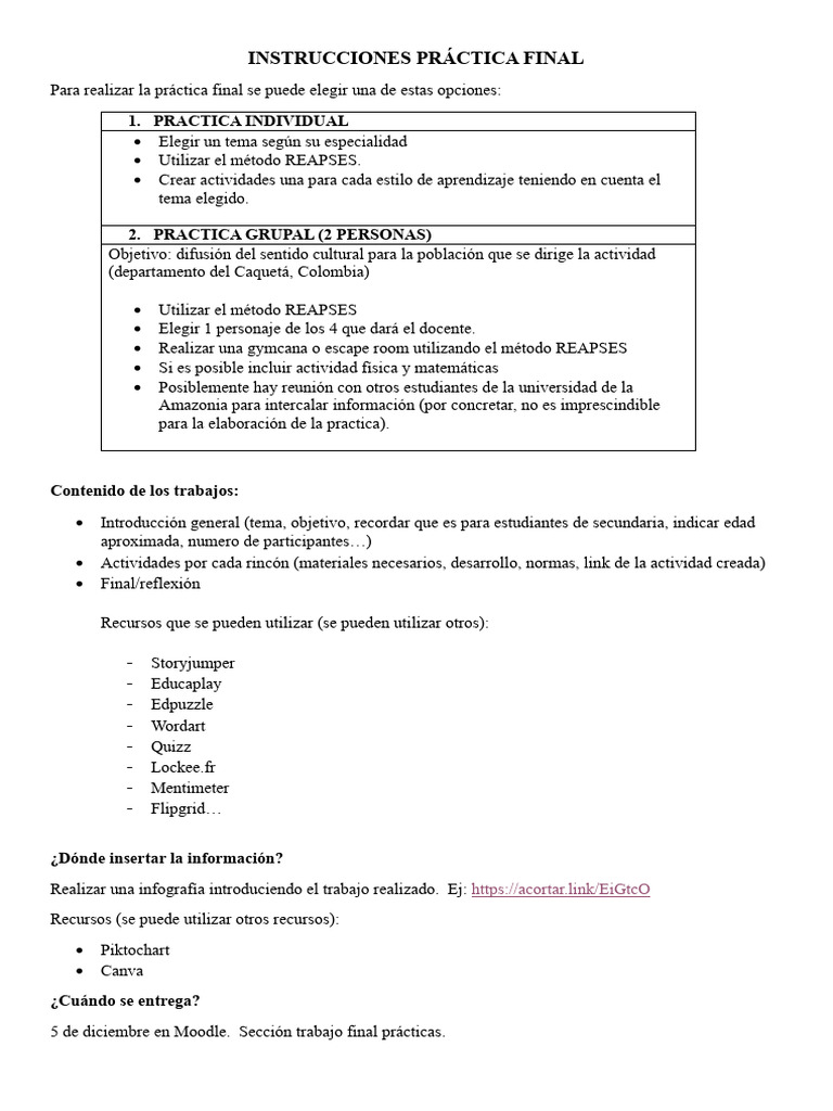 INSTRUCCIONES PRÁCTICA FINAL | PDF