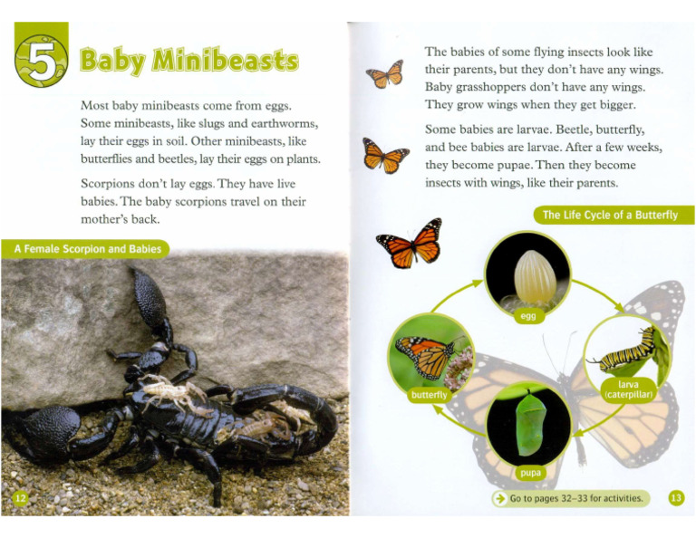 Minibeast - Chapter 5 | PDF