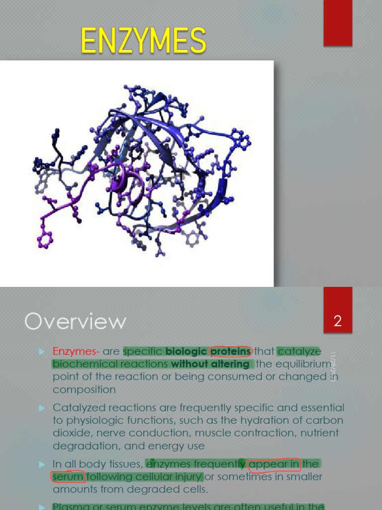 Enzymes CC2 2023 | PDF | Enzyme | Enzyme Inhibitor