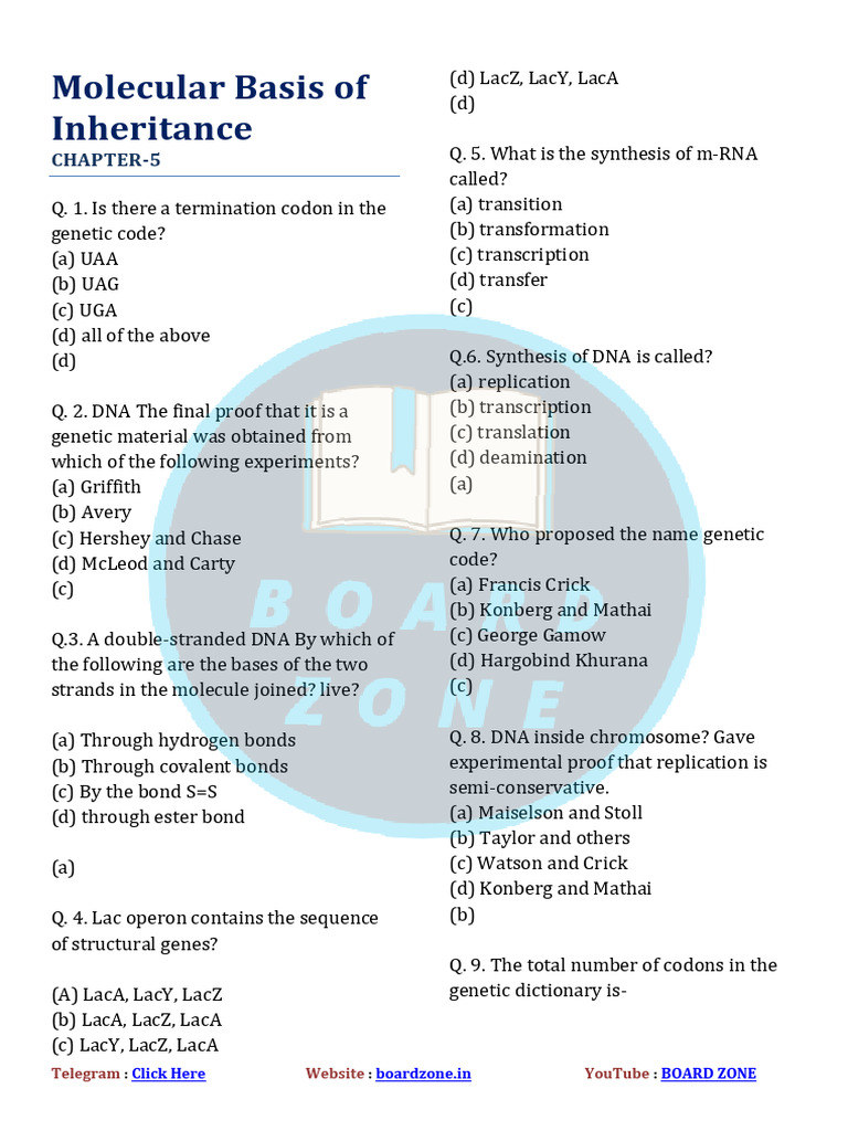 Genetics Quiz for Students | PDF | Dna | Gene