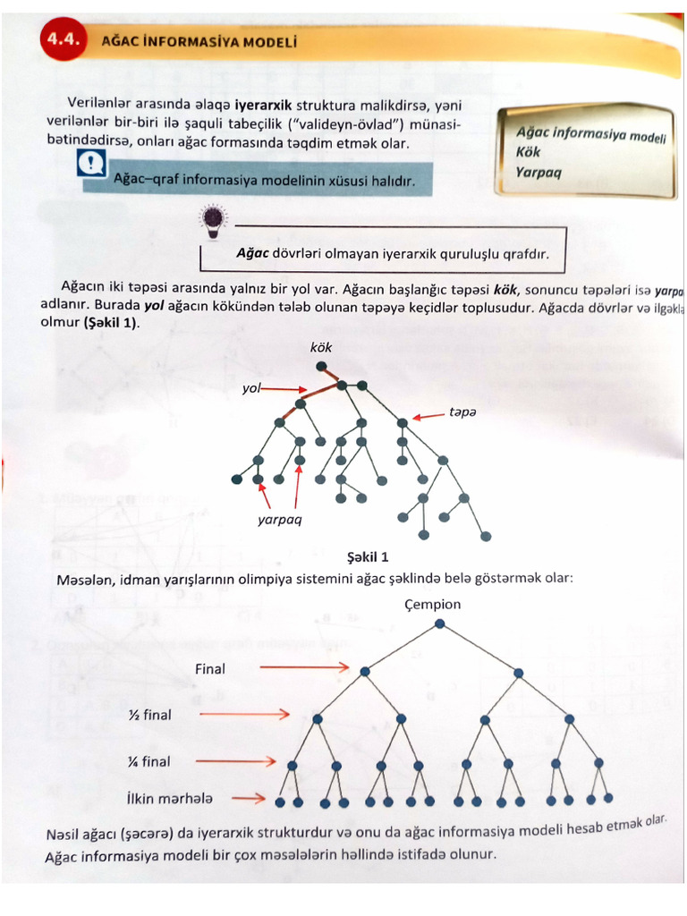 TapScanner Document Scan Overview | PDF