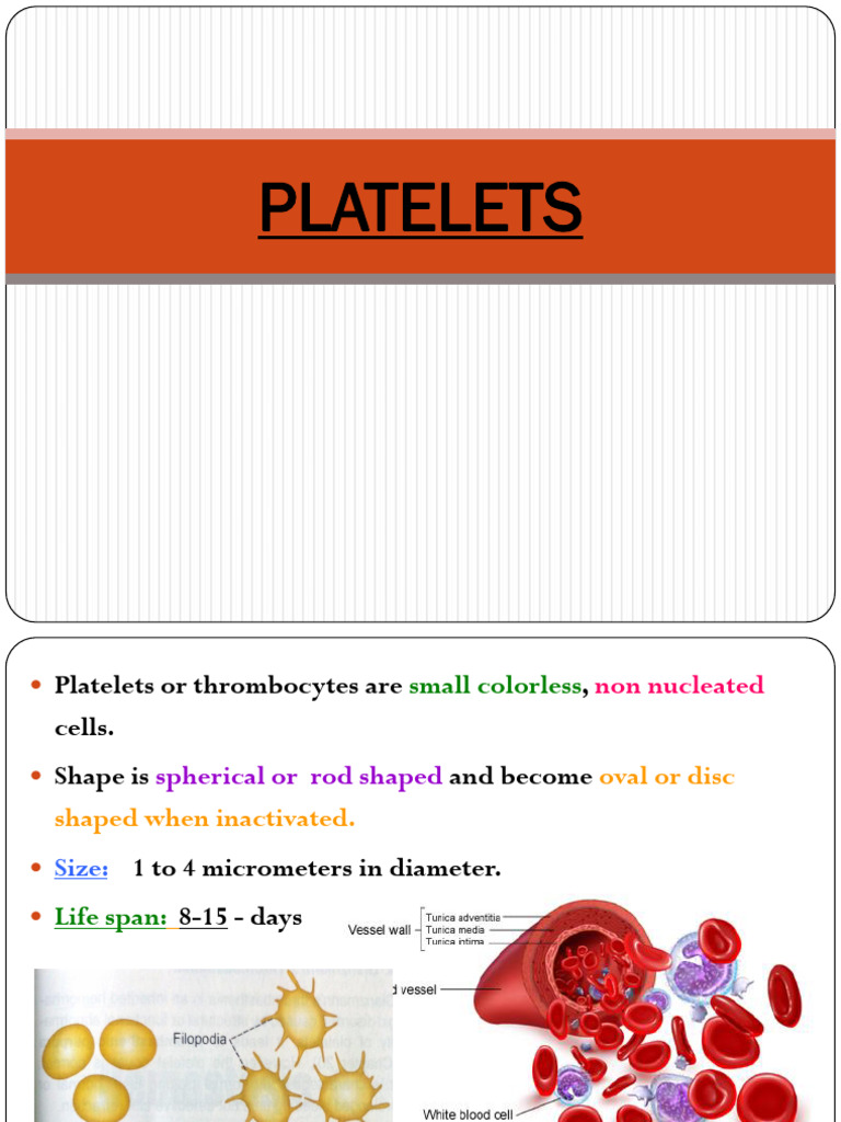 Lect 6-7 Platlets and Coagluation | PDF | Coagulation | Platelet
