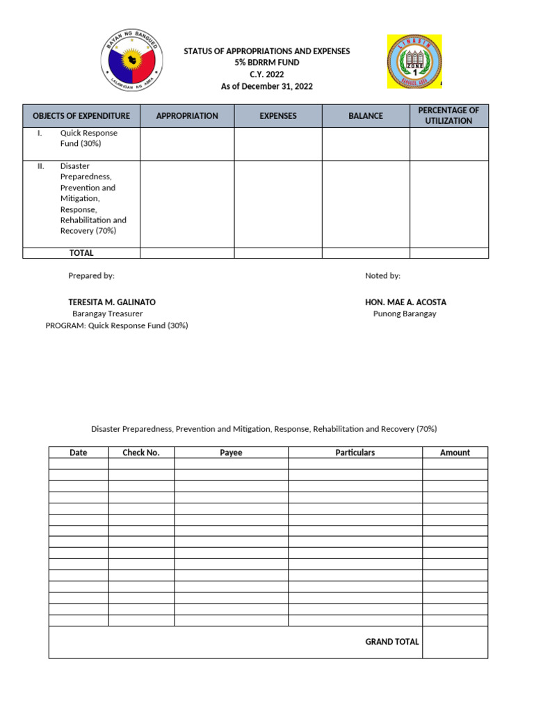 BDRRM Fund Utilization Report | PDF | Emergency Management | Expense