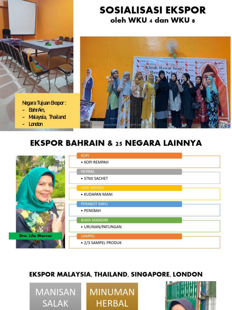 Sosialisasi Ekspor Iwapi | PDF