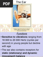 Gr.12 Life Sciences The Ear | PDF | Ear | Auditory System