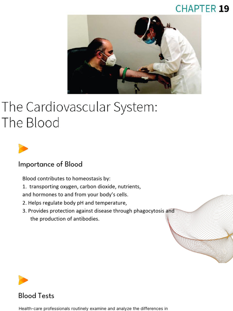 Chapter 19 - The Cardiovascular System - Blood | PDF | Coagulation ...