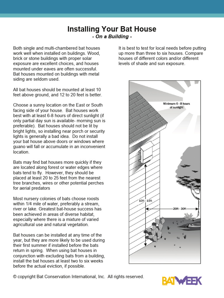 Installing Your Bat House - On A Building | PDF | Bat | Screw