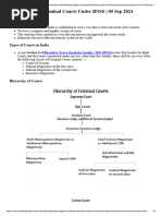 BNSS Chapter 5 Arrest of Persons | PDF