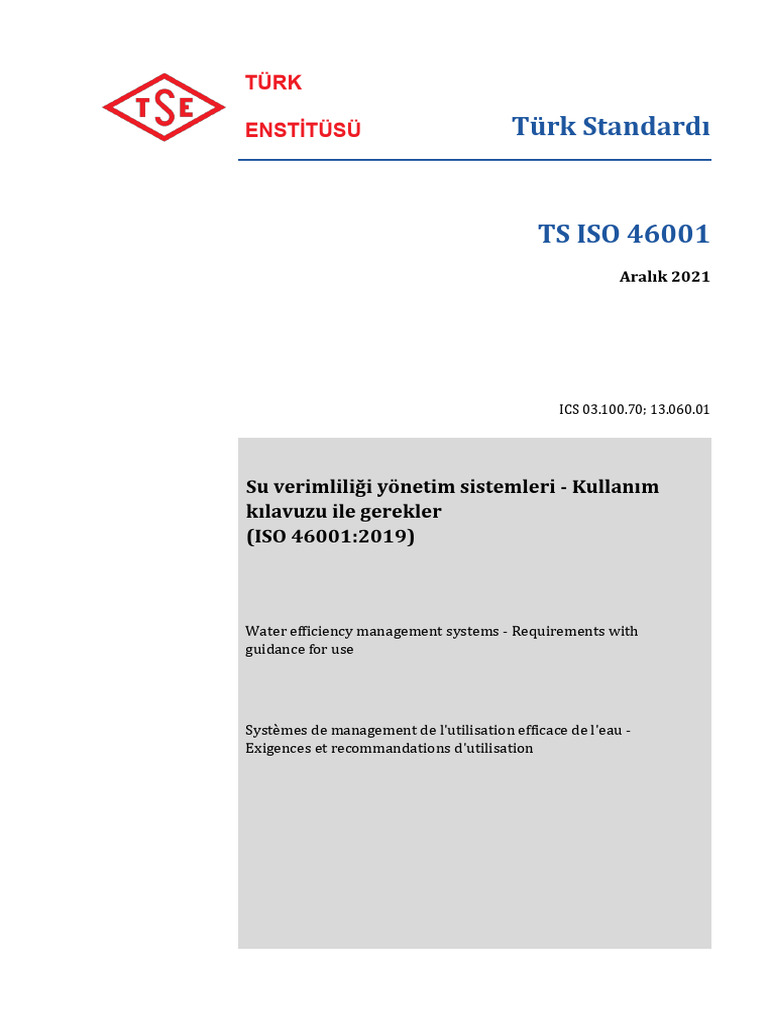 TS Iso 46001 | PDF