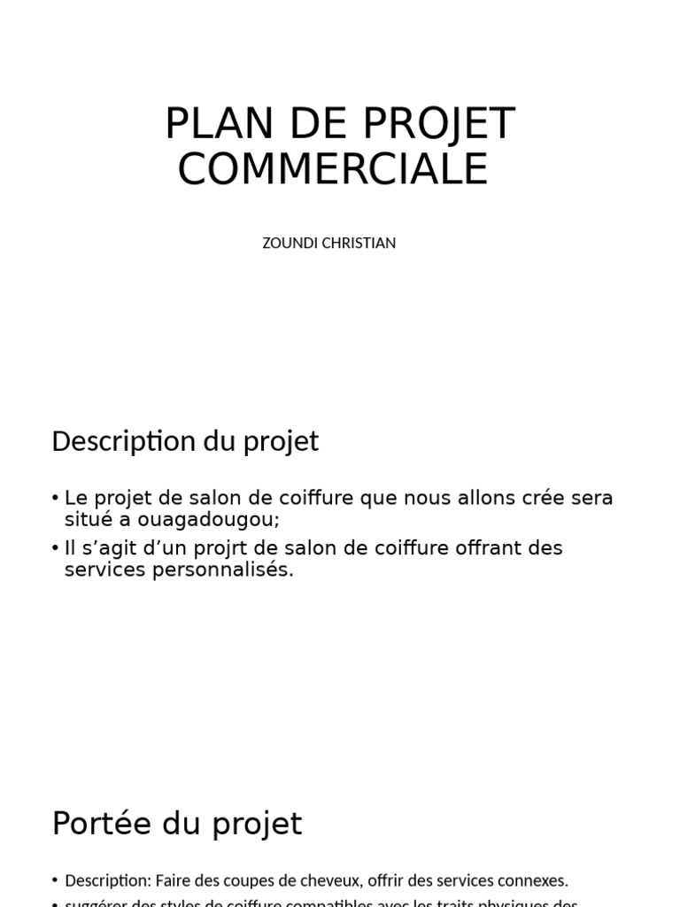 Plan de Projet Commerciale | PDF