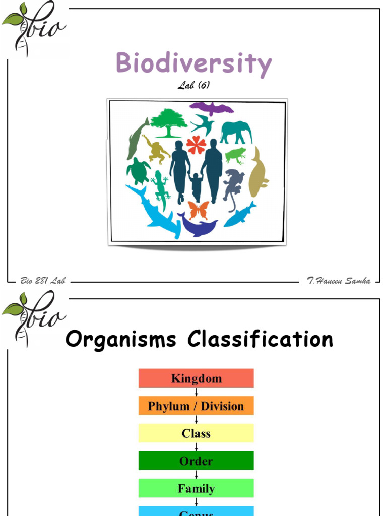 LAB 6 2 | PDF | Prokaryote | Cell Wall