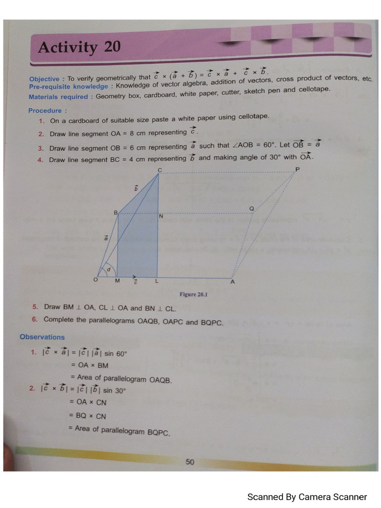 12 Maths (4 Activities Term 2) | PDF