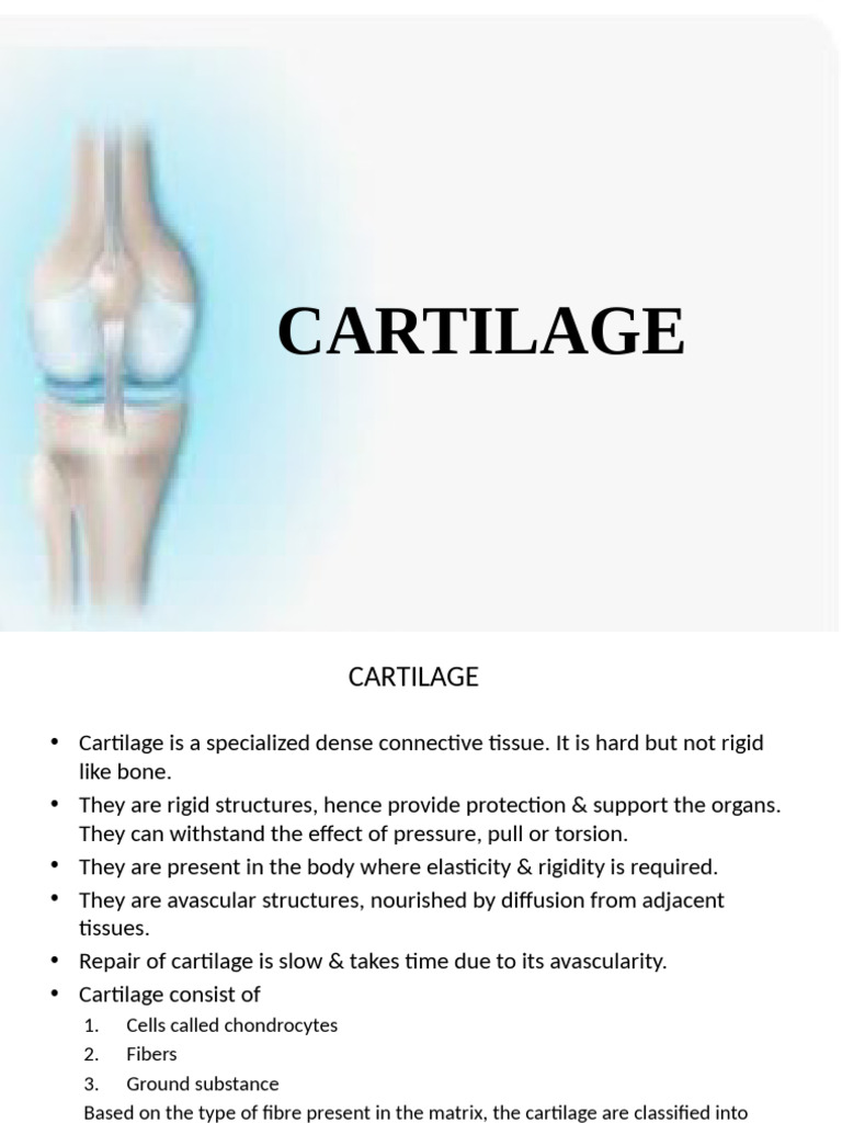 Cartilage | PDF | Bone | Cartilage