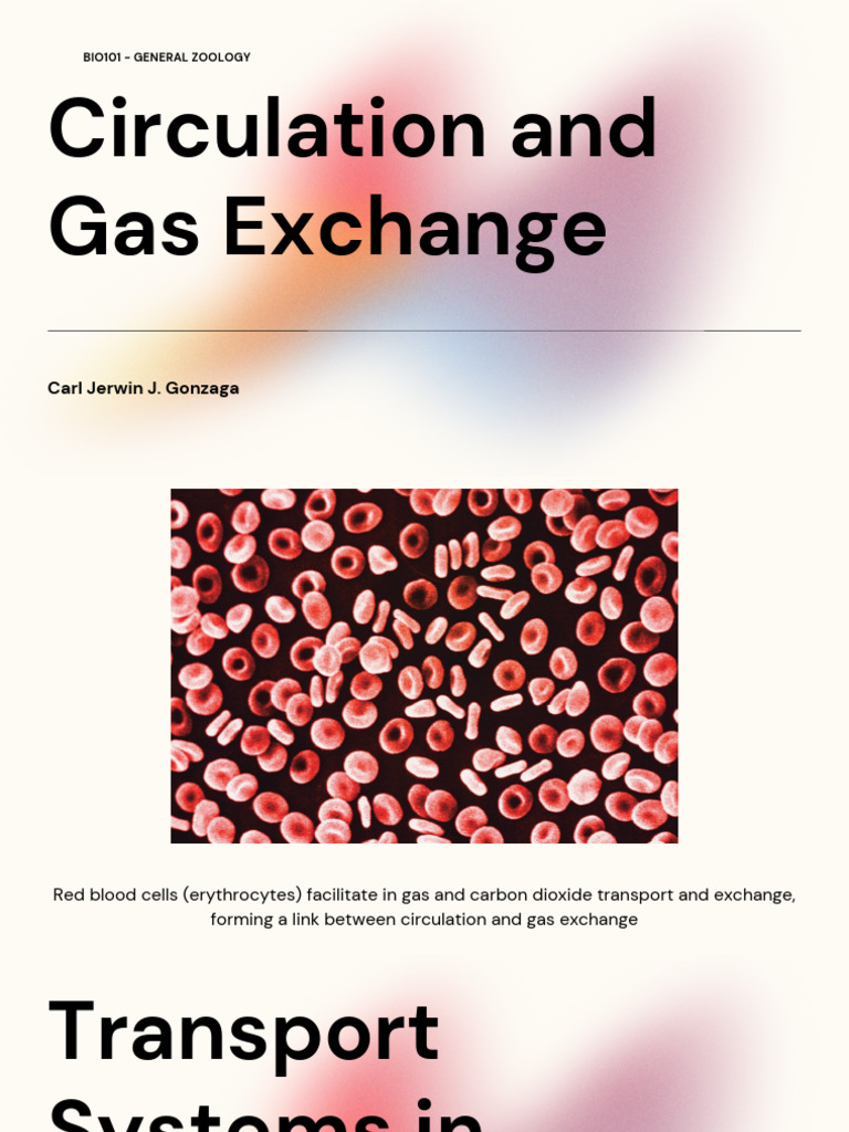 9 - Circulation and Gas Exchange | PDF | Heart | Respiratory System