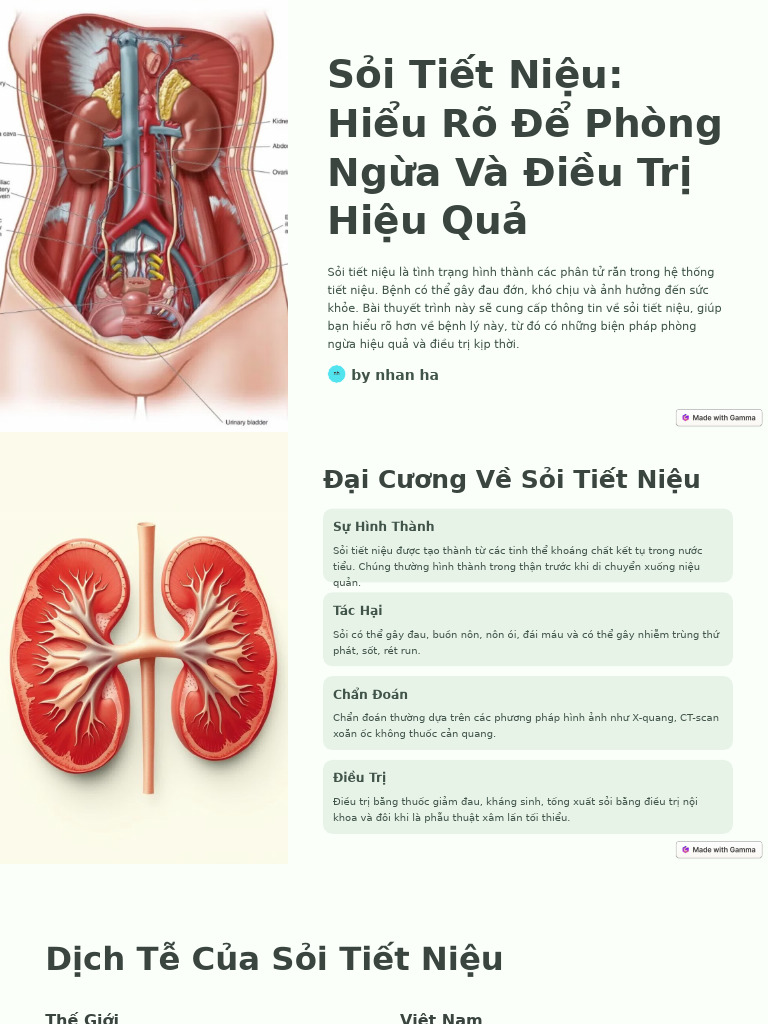 Soi Tiet Nieu Hieu Ro DJe Phong Ngua Va DJieu Tri Hieu Qua | PDF