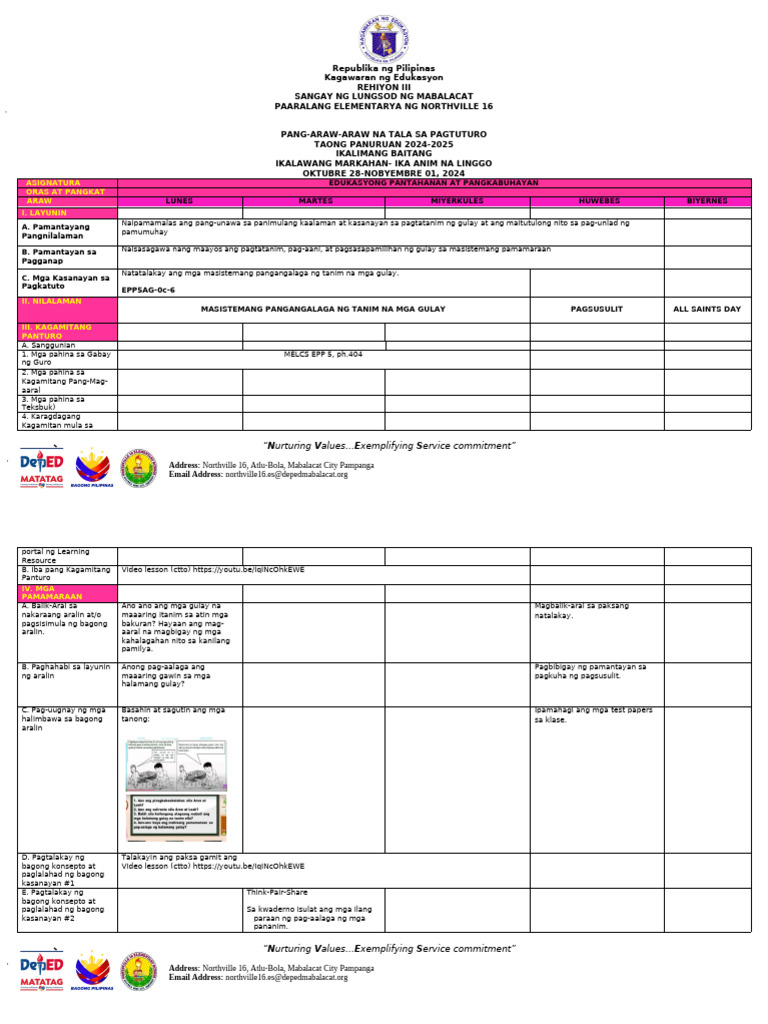 DLL - Sy 2024 2025 Epp 5 Q2 WK6 | PDF