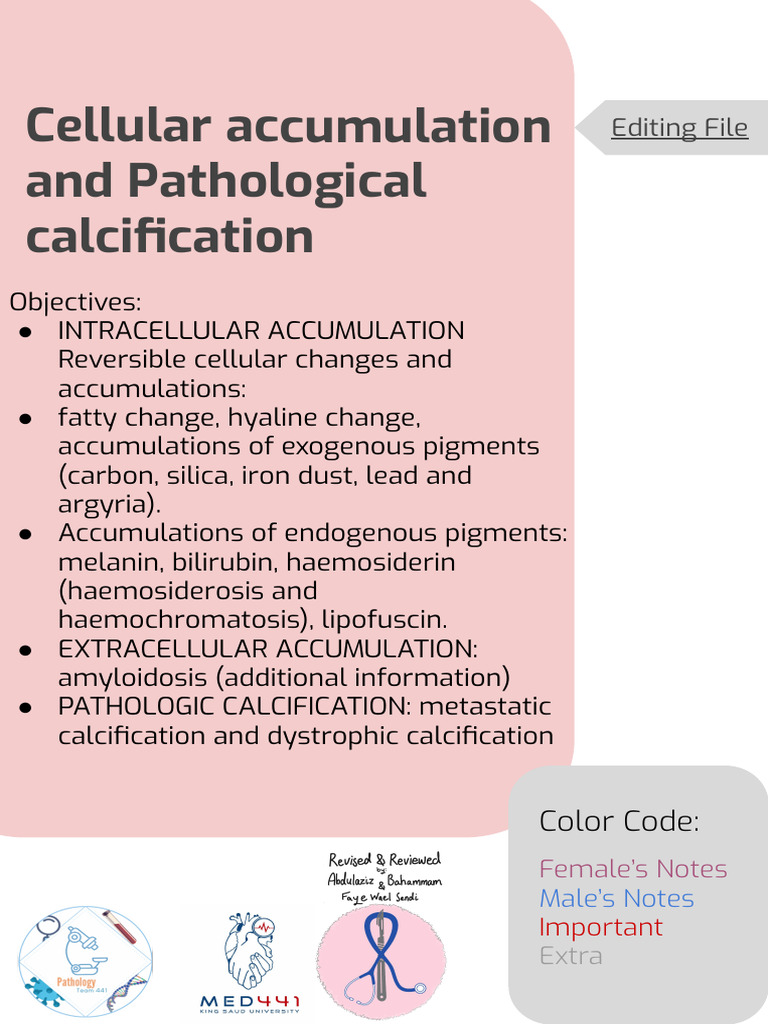 Cellular Accumulation and Pathological Calcification | PDF | Anatomy ...